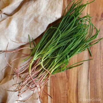 barba di frate (agretti): come cucinare questa verdura - VegeGrale